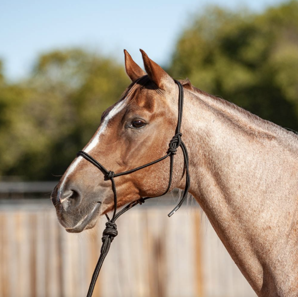 Classic Equine Premium Rope Halter - HA Brands