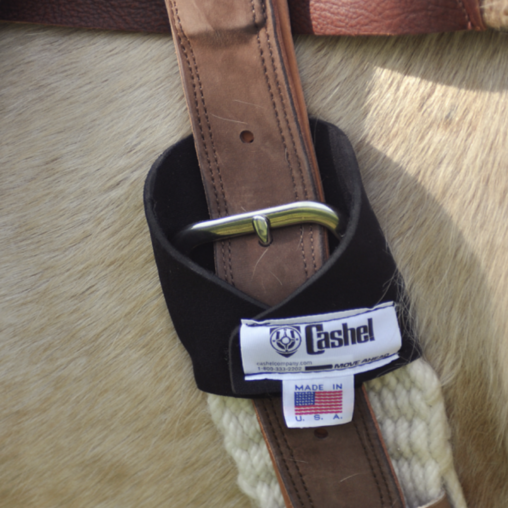 Cashel Ring Master Cinch Protector Neoprene - HA Brands