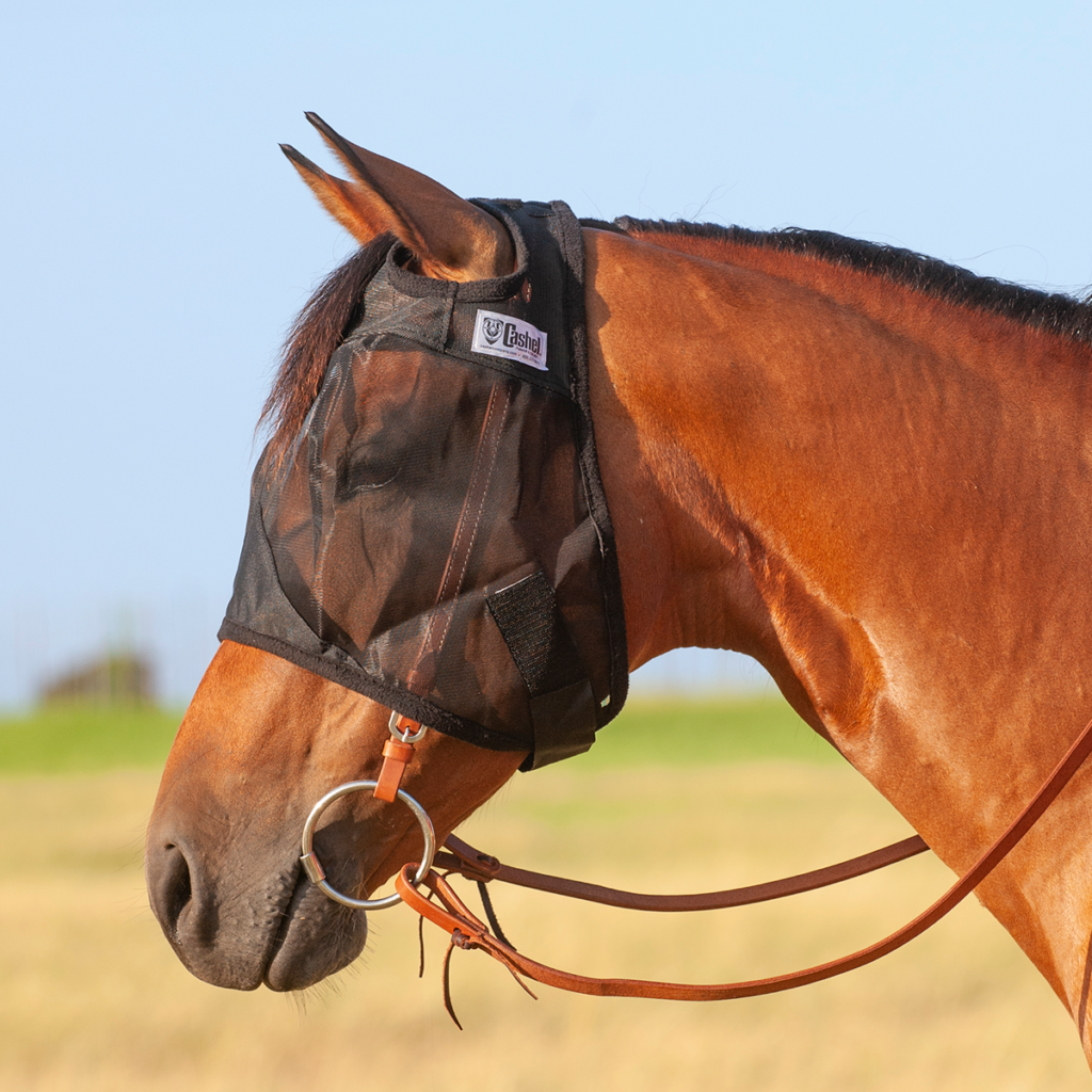Cashel Quiet Ride Fly Mask - Standard - HA Brands