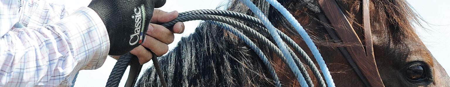 Rope Halter and Leads | Ranch Ropes for Sale - HA Brands