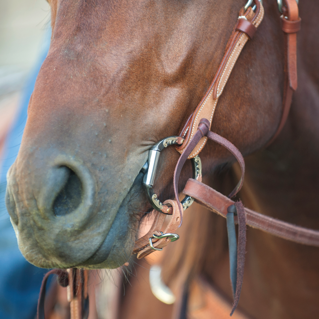 Classic Equine D Ring Smooth Snaffle Bit 5" - HA Brands
